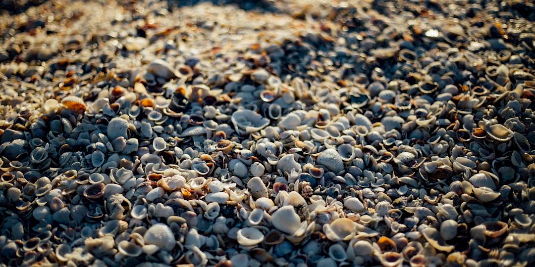 Oceanographic and Environmental Services | SEP Hydrographic